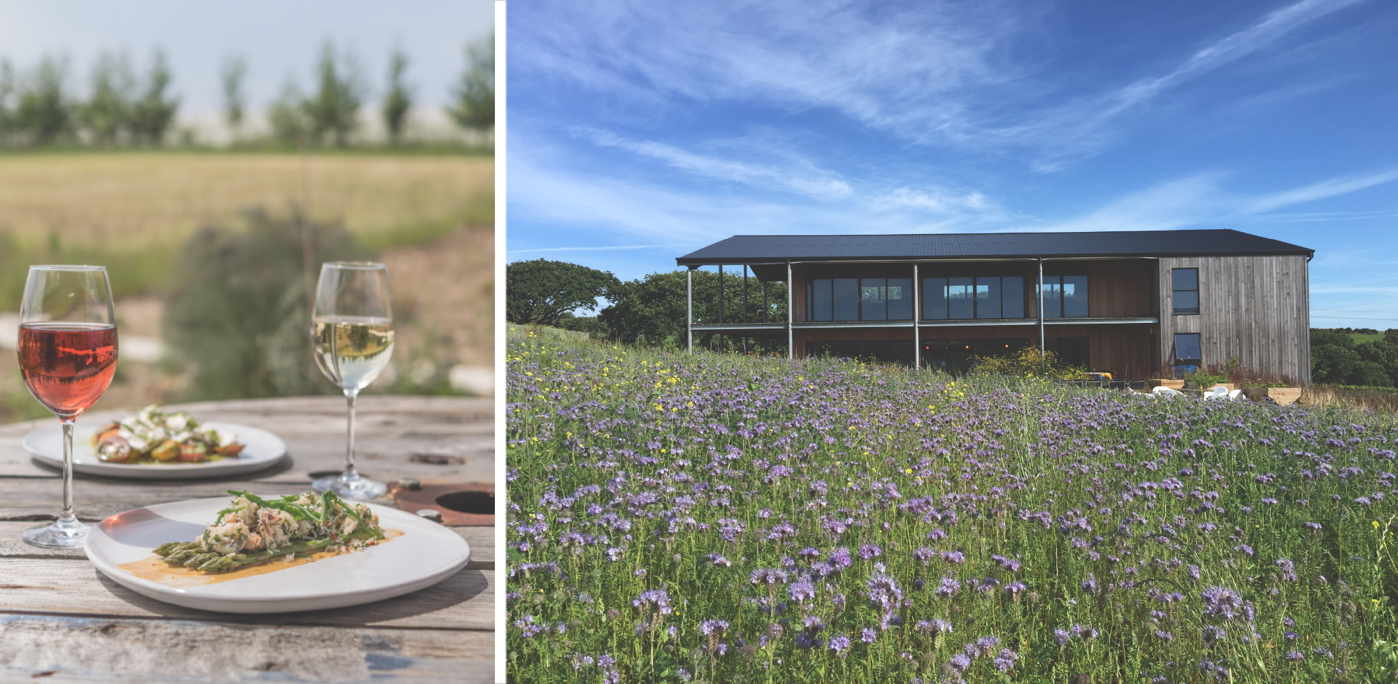 Weddings - Trevibban Mill Cornish Vineyard & Orchards